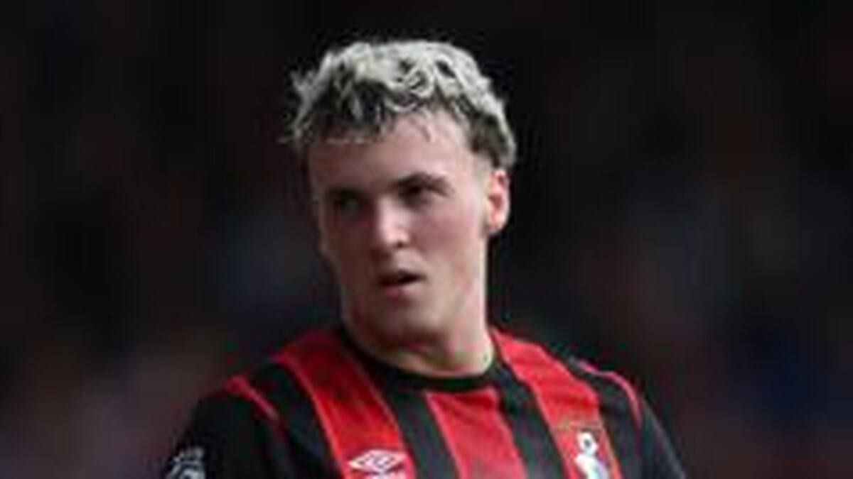 Jimenez suspended as Bournemouth launch investigation | SoccerSeer