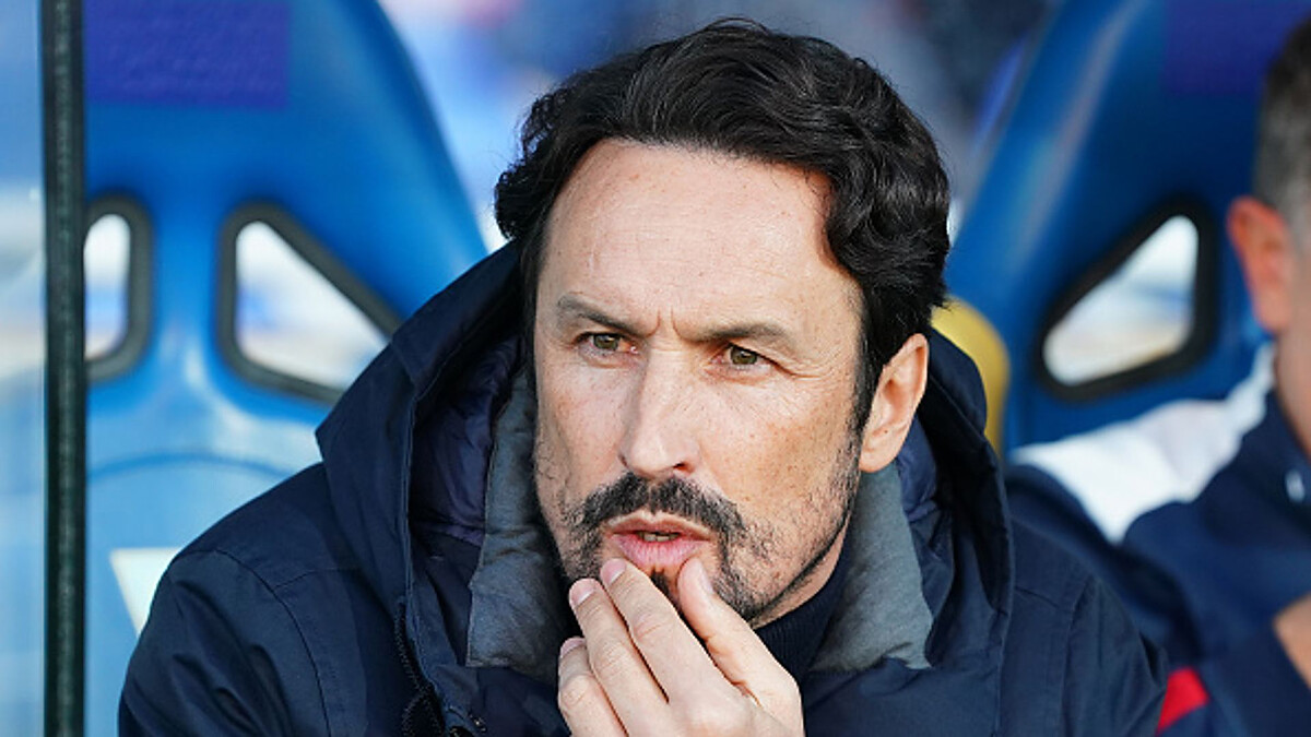 Peixoto appointed as new Wolves boss | SoccerSeer